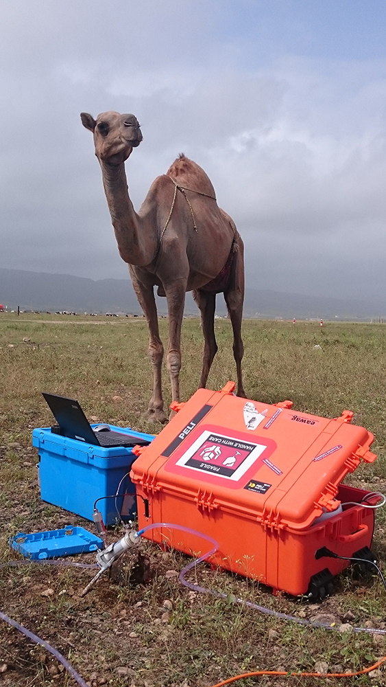 Portable mass spectrometer allows on-site gas analysis | Spectroscopy ...