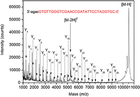 Analysis and sequencing of nucleic acids by matrix-assisted laser ...