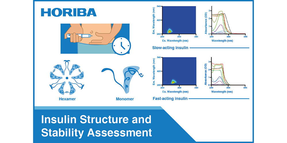 Insulin structure and stability assessment | Spectroscopy Europe/World