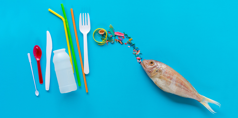 Monitoring Microplastics In Our Oceans Spectroscopy Europe World