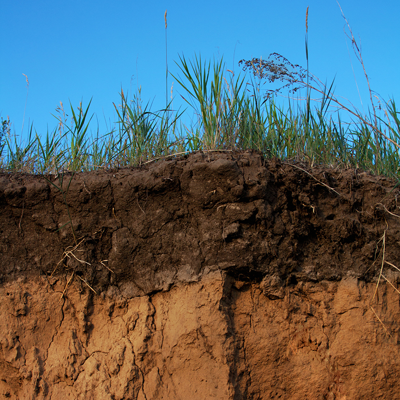 Determination of soil organic matter using visible-near infrared ...